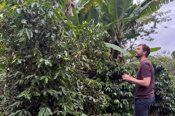 Coffee & Waterfalls Tour: from the mountains to the cup - In Summary: Who Is This Tour Perfect For?