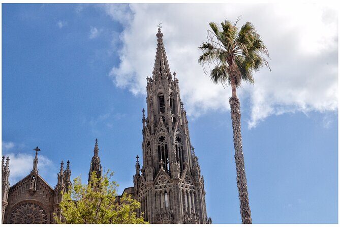 Coffee & Wine: North Route of Gran Canaria Tour - Why Choose This Tour?