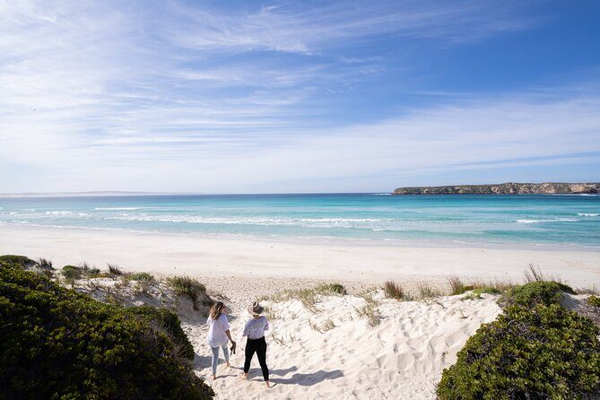 Coffin Bay Day Tour - A Taste of Coffin Bay - An Overview of the Experience