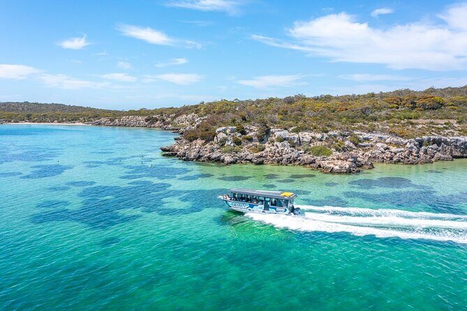 Coffin Bay Day Tour - A Taste of Coffin Bay - Transportation and Group Size