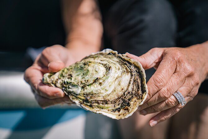 Coffin Bay Day Tour - A Taste of Coffin Bay - Final Thoughts on Value and Suitability
