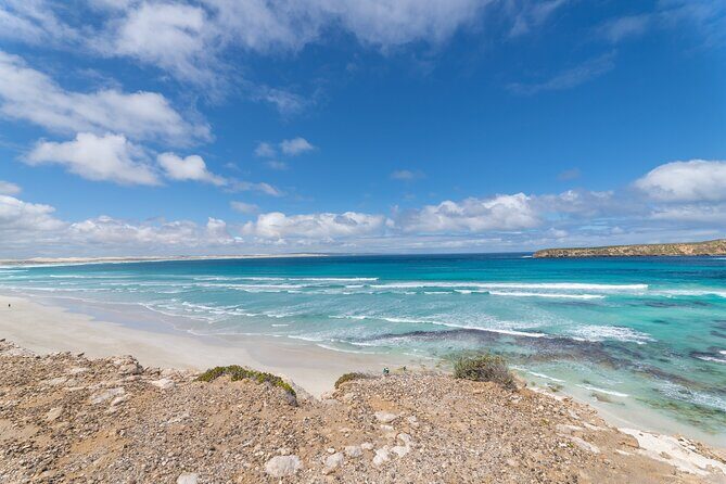 Coffin Bay National Park Half-day 4WD Tour - Why This Tour Stands Out