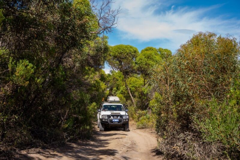 Coffin Bay National Park: Highlights and Off-Road 4WD Tour - Who Will Enjoy This?