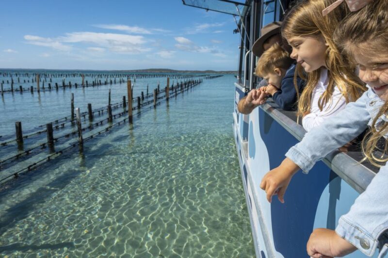 Coffin Bay: Oyster Farm Boat Tour with Wading & 12 Oysters - Introduction