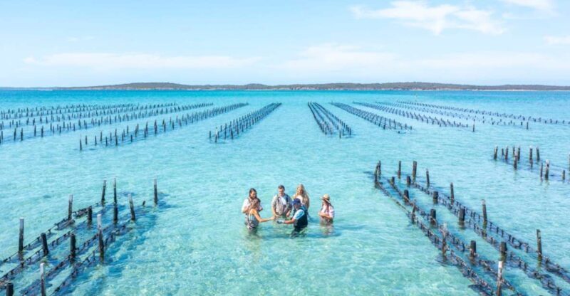 Coffin Bay: Oyster Farm Boat Tour with Wading & 12 Oysters - An Overview of the Experience