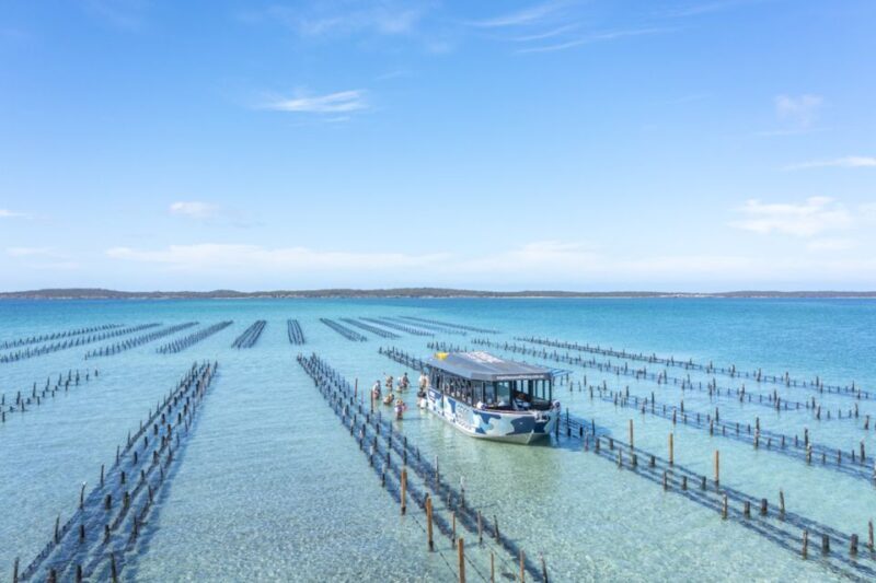 Coffin Bay: Oyster Farm Boat Tour with Wading & 12 Oysters - The Itinerary – Step by Step
