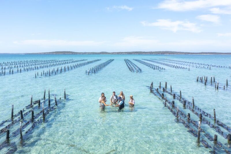 Coffin Bay: Oyster Farm Boat Tour with Wading & 12 Oysters - Who Will Love This Experience?
