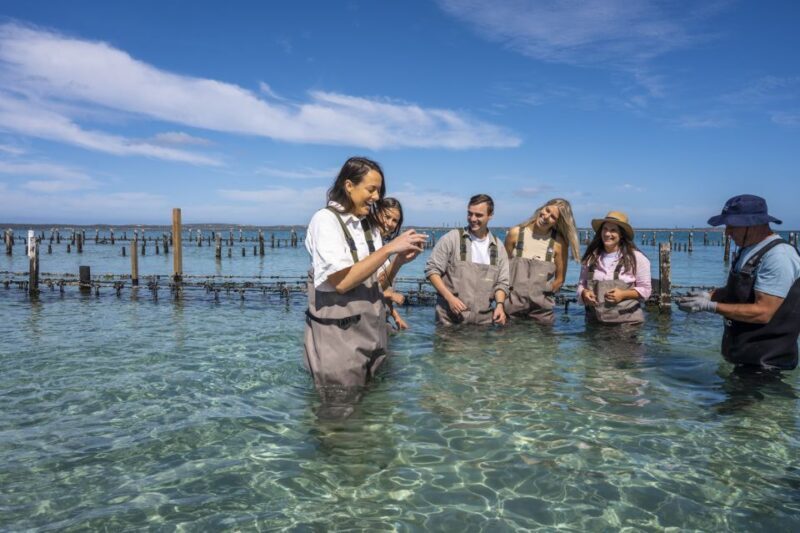 Coffin Bay: Oyster Farm Boat Tour with Wading & 12 Oysters - The Sum Up