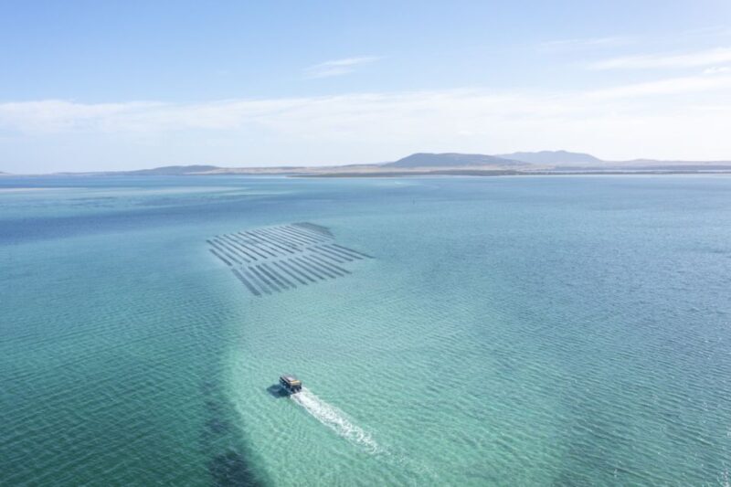 Coffin Bay: Oyster Farm Boat Tour with Wading & 12 Oysters - Frequently Asked Questions