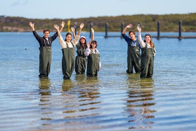 Coffin Bay Oyster Farm Wading Tour & Tasting Experience - Key Points