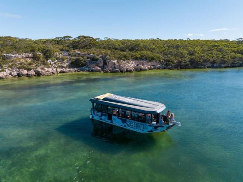 Coffin Bay: Short and Sweet Oyster Farm Tour - A Deep Dive into the Experience