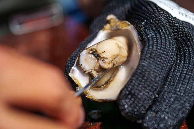 Coffin Bay Tour with Oyster Shucking and Off Road Adventure - An In-Depth Look at the Coffin Bay Tour Experience
