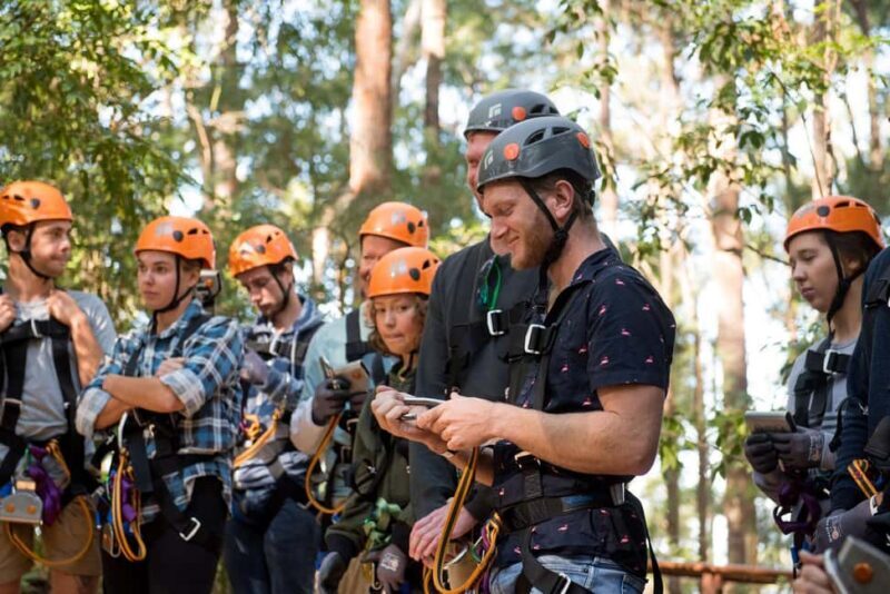 Coffs Harbour: Treetops Adventure Tree Ropes Course - An In-Depth Look at the Treetops Adventure Experience