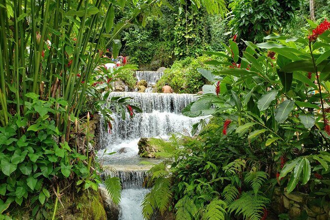 Cofresi Palm Beach & Spa Resort - Puerto Plata Airport - What Travelers Are Saying (Based on Reviews)