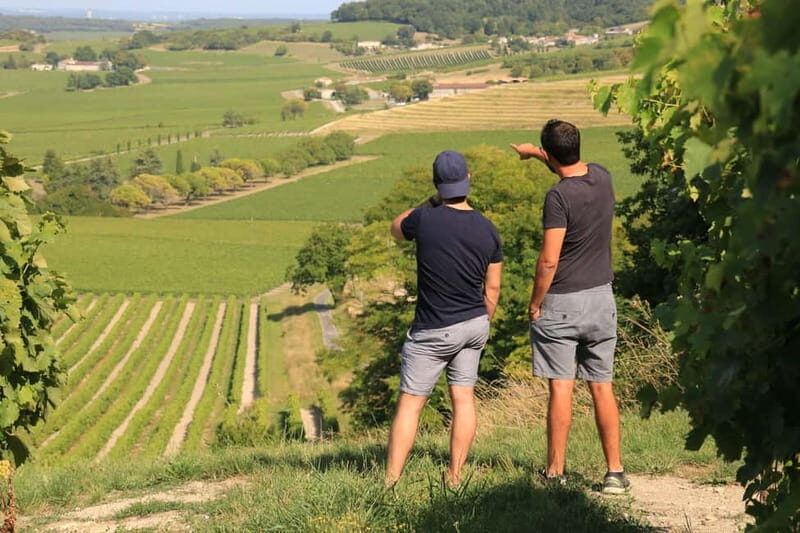 Cognac: Discover the vineyards in a 4x4 and enjoy a cocktail - Authentic Experiences and Practicalities