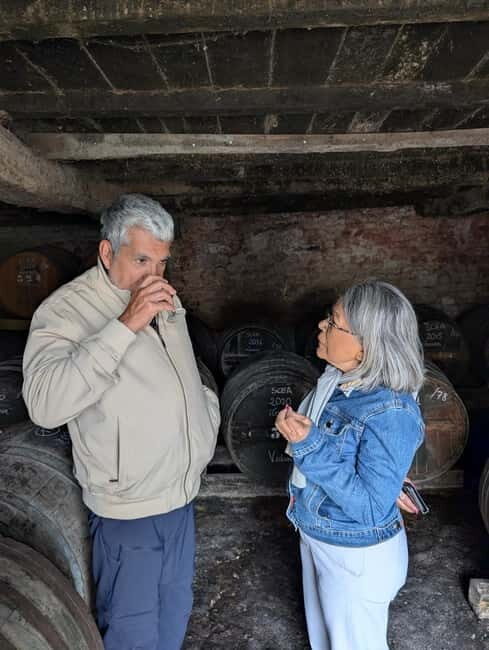 Cognac guided tour of the vineyard and visit/tasting at a winemaker's estate - An Authentic Look at Cognac: Guided Vineyard Tour and Winemaker Visit