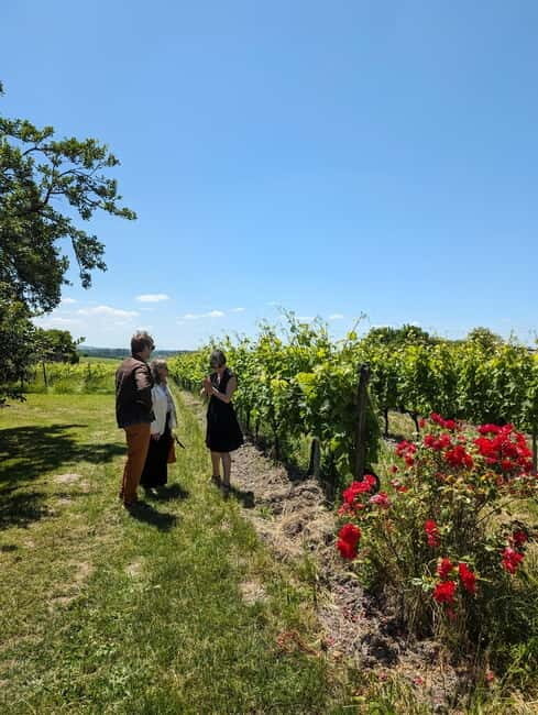 Cognac guided tour of the vineyard and visit/tasting at a winemaker's estate - Who Would Love This Tour?
