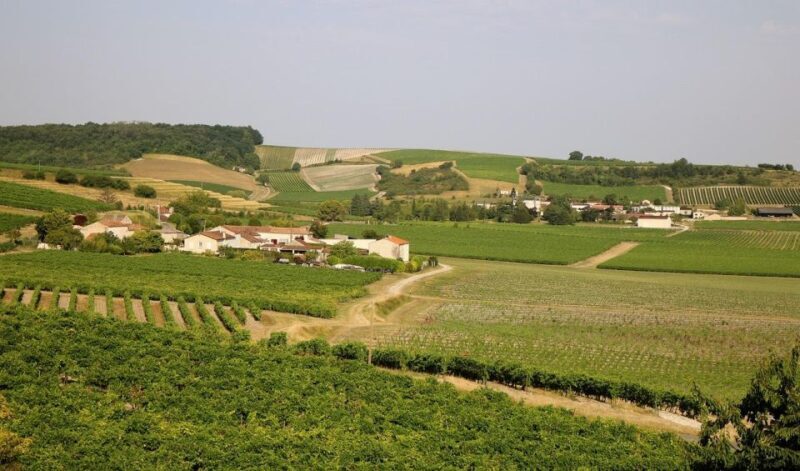 Cognac Private Guided Walking Tour - Exploring Cognac’s Historic Heart