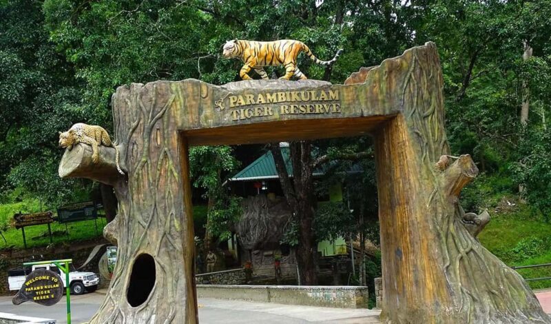 Coimbatore Day Tour: Forest, Wildlife & Hill Station Trip - Key Points