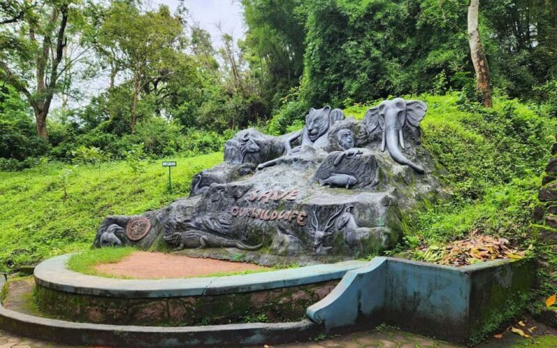 Coimbatore Day Tour: Forest, Wildlife & Hill Station Trip - FAQ