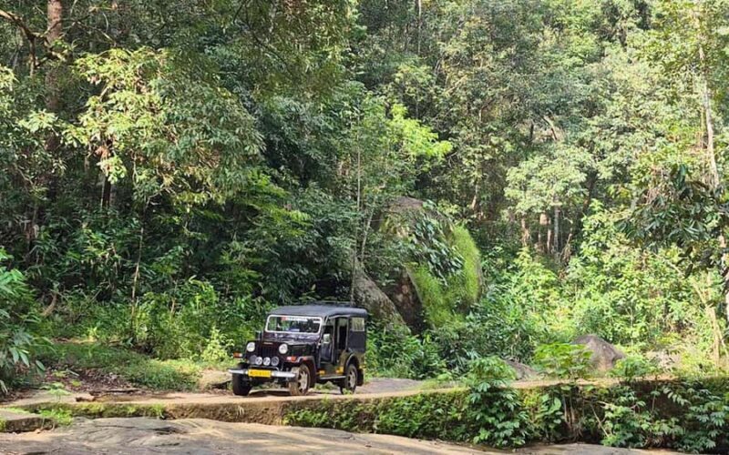 Coimbatore: Kerala Hills Day Trip with Jeep Safari & Lunch - Key Points