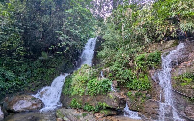 Coimbatore: Kerala Hills Day Trip with Jeep Safari & Lunch - A Scenic Escape Near Munnar