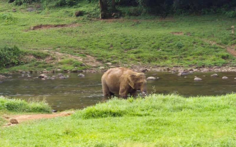 Coimbatore: Kerala Hills Day Trip with Jeep Safari & Lunch - FAQs