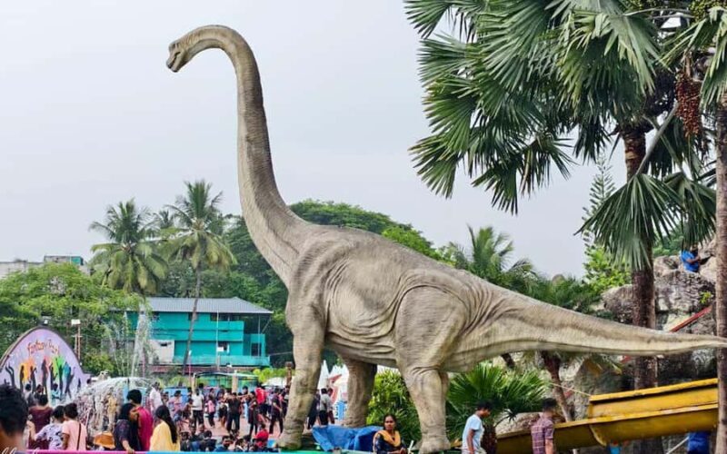 Coimbatore to Balakad Fantasy Park - Adventure & Water Fun - An In-Depth Look at the Tour Experience