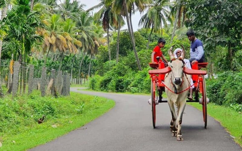 Coimbatore to Coconut Village Day Tour  Nature & Culture - An Introduction to the Tour Experience