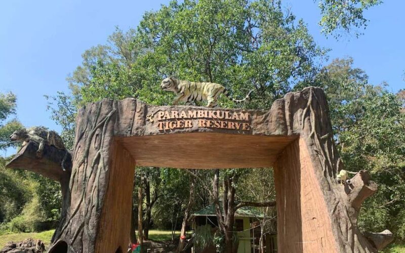 Coimbatore to Hill Station & Wildlife Safari 2-Days Tour - Final Thoughts: Is This Tour Right for You?