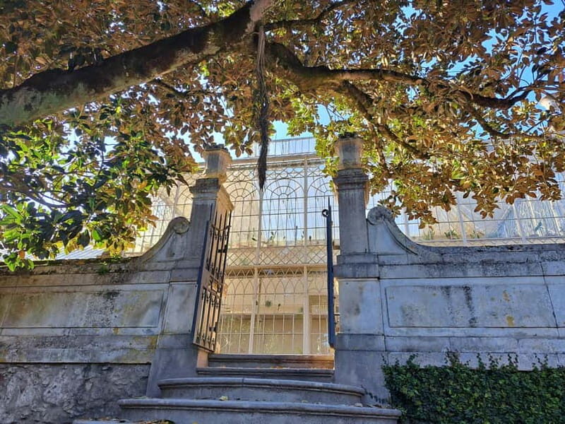 Coimbra Botanical Garden Tour: Storytelling Through Nature - Detailed Breakdown of the Itinerary