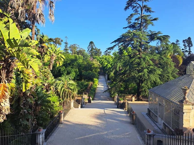 Coimbra Botanical Garden Tour: Storytelling Through Nature - Authentic Experiences and Opinions