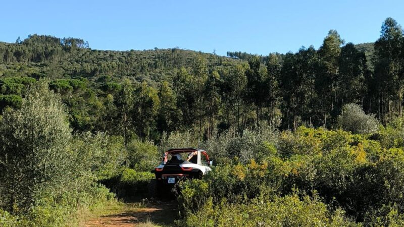 Coimbra - Condeixa: Off-road Buggy Adventure 150min - Who Will Love This Tour?