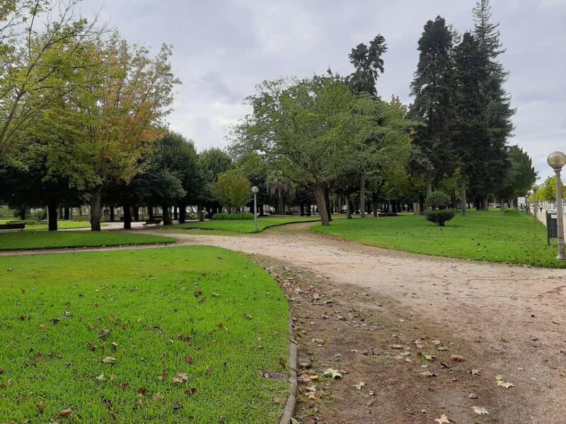 Coimbra: guided tour with a cinematic perspective - Why This Tour Offers Real Value