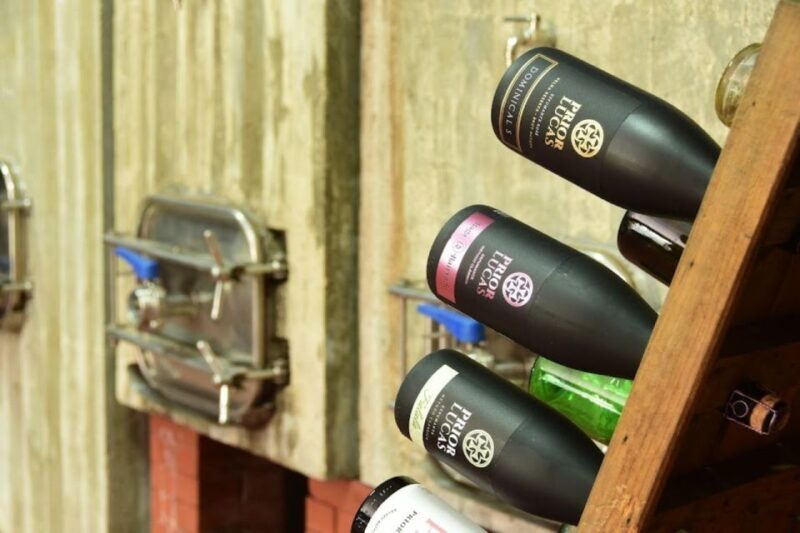 Coimbra: Prior Lucas Wine Experience - Key Points