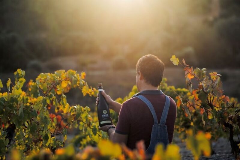 Coimbra: Prior Lucas Wine Experience - Who Should Consider This Tour?