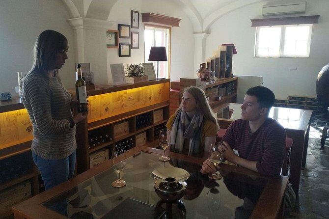 Coimbra Private Tour - Discover the Charm of Coimbra with a Private Tour