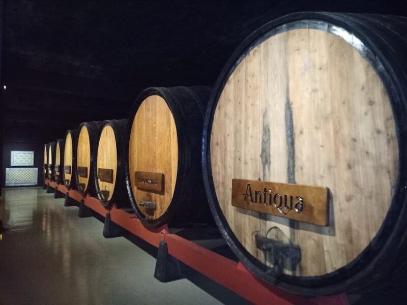 Coimbra: Rota da Bairrada gastronomic tour - An In-depth Look at the Experience