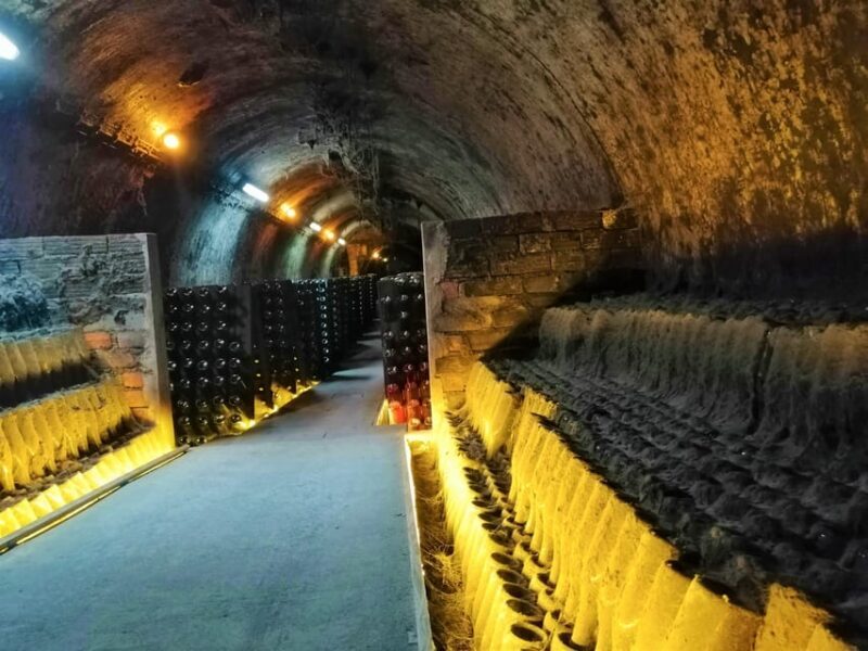 Coimbra: Rota da Bairrada gastronomic tour - Who Would Enjoy This Tour?