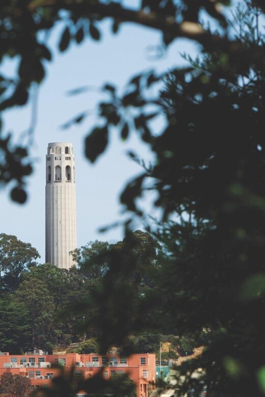Coit Tower & Little Italy Landmark Walking Tour - The Detailed Itinerary: What to Expect at Each Stop
