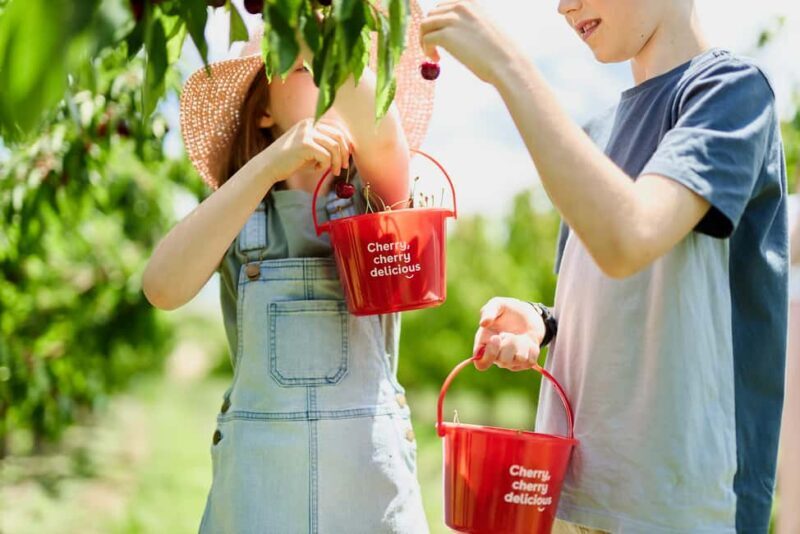 Coldstream: Cherry-Picking Experience - FAQs