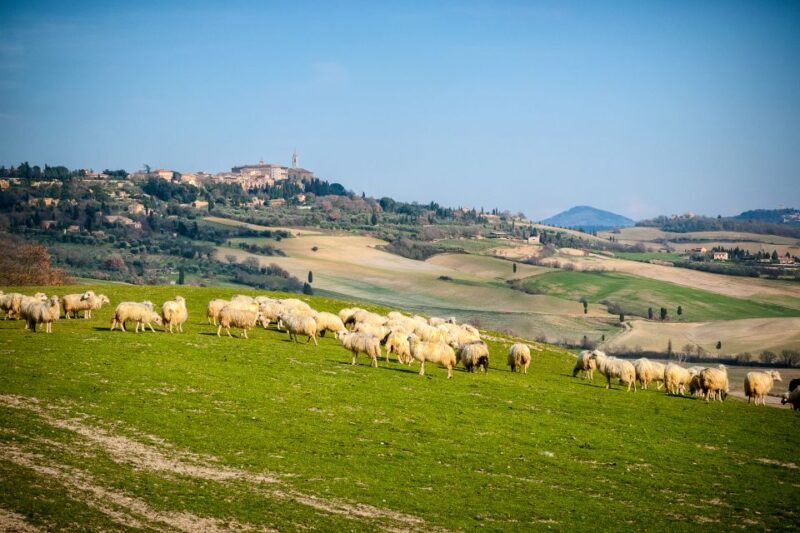 Colle Val d'Elsa and Volterra Full-Day Tour - Authentic Tuscany in a Day: The Highlights