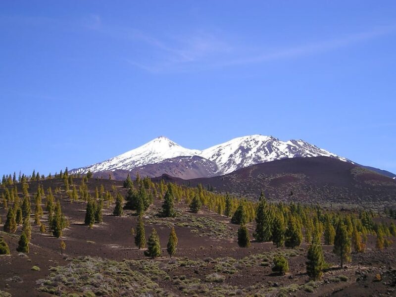 Collective Adventure: Travel & Volunteer in Tenerife - Frequently Asked Questions