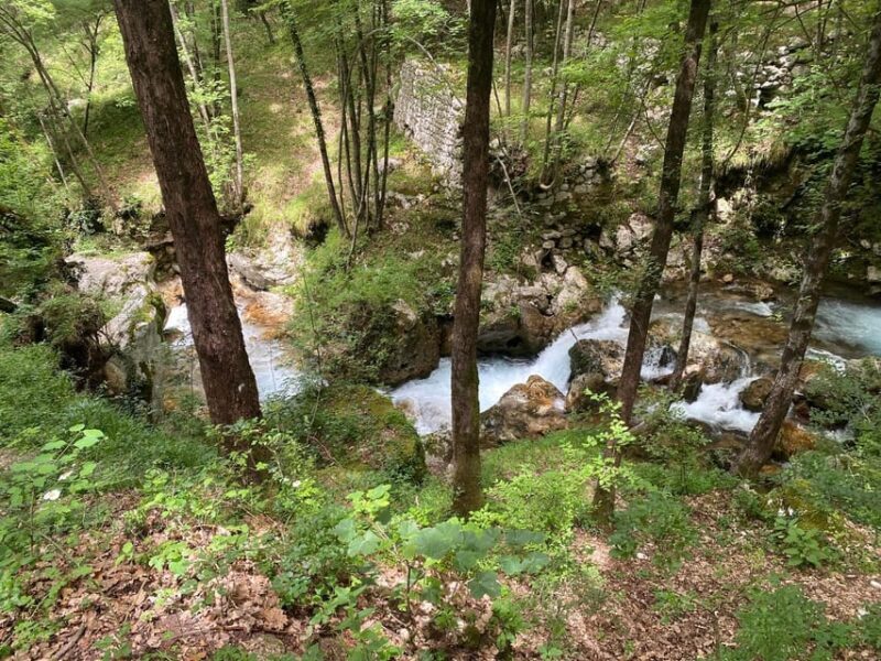 Collepardo: Trisulti Charterhouse and Hermitage Guided Hike - Practical Details and Special Highlights