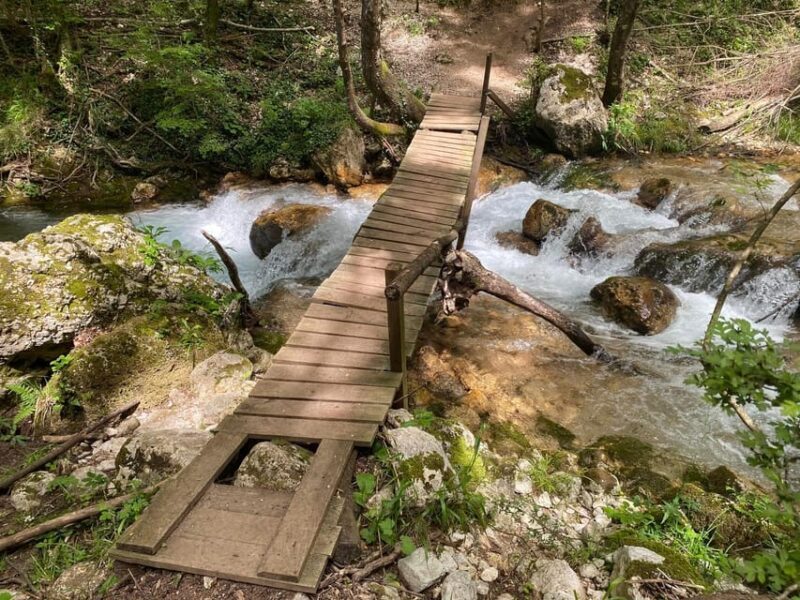 Collepardo: Trisulti Charterhouse and Hermitage Guided Hike - Analyzing the Value