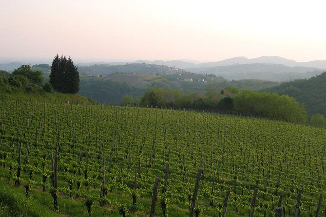 Collio: Cividale Del Friuli and Wine Tastings from Trieste - Who Should Consider This Tour?