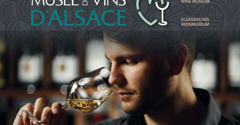 Colmar: Alsace Wine Museum Entrance Ticket - The Digital Experience and Its Value