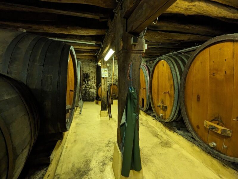 Colmar: Highlights Walking Tour and Wine Tasting - Introduction