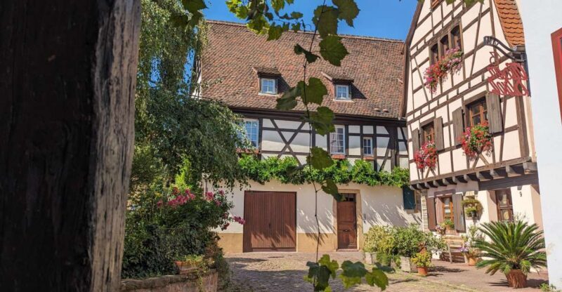 Colmar: Unusual Walking Tour with a local guide - Experience Overview: A Deep Dive into Colmar’s Hidden Corners