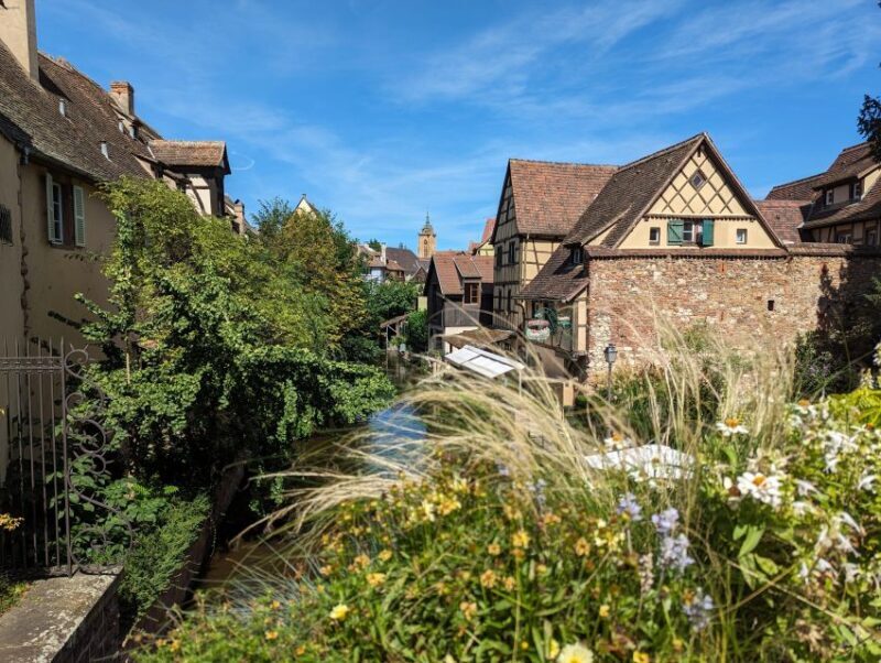 Colmar: Unusual Walking Tour with a local guide - The Real Experience: Why Travelers Love It